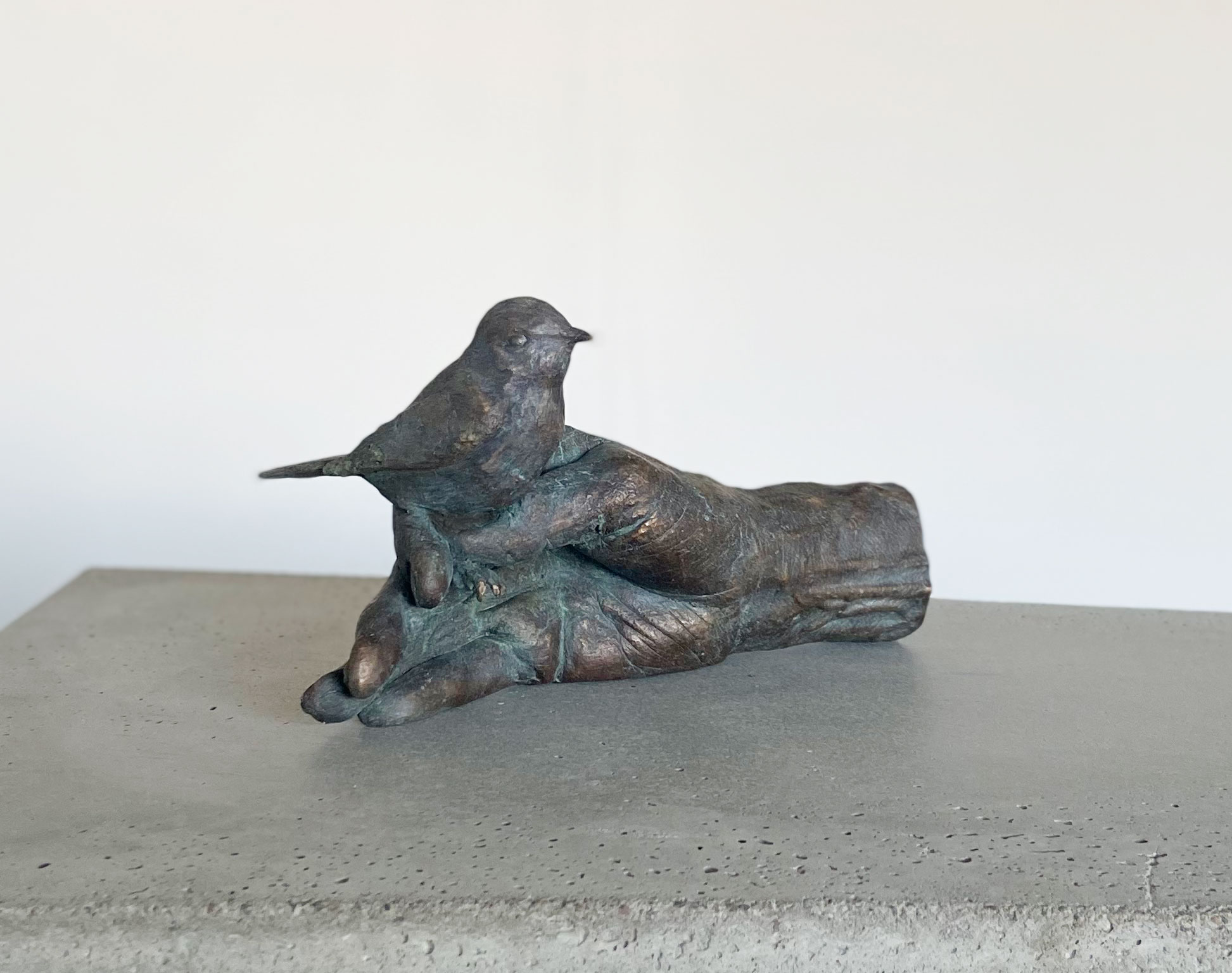 Bachmans Warbler and others - Axel Antas