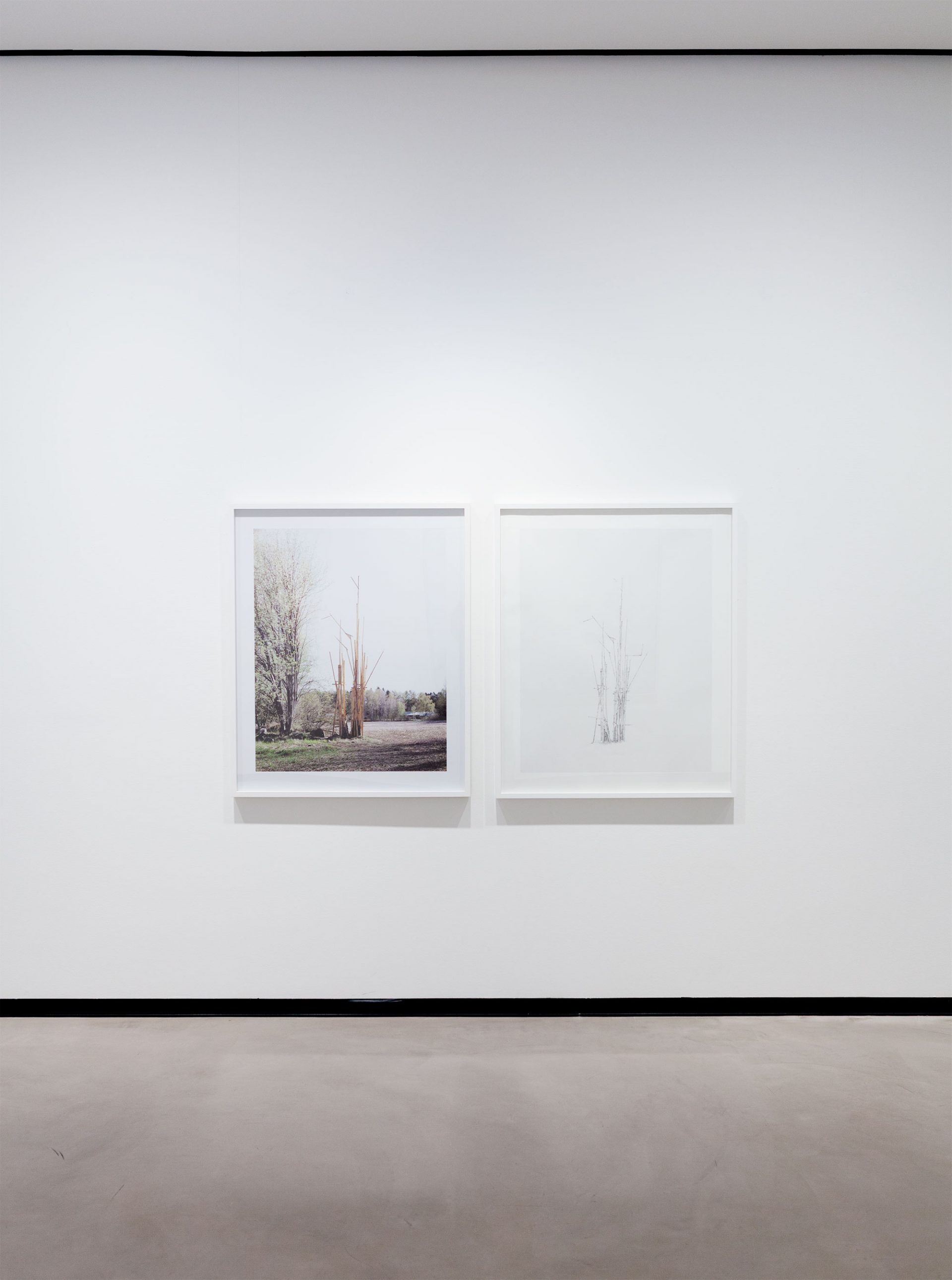 Mirrored Structure - Axel Antas