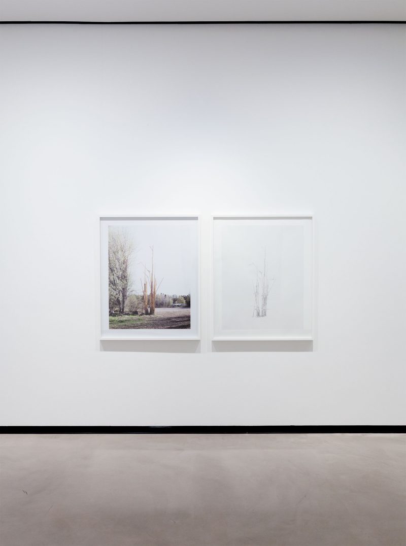 Mirrored Structure - Axel Antas