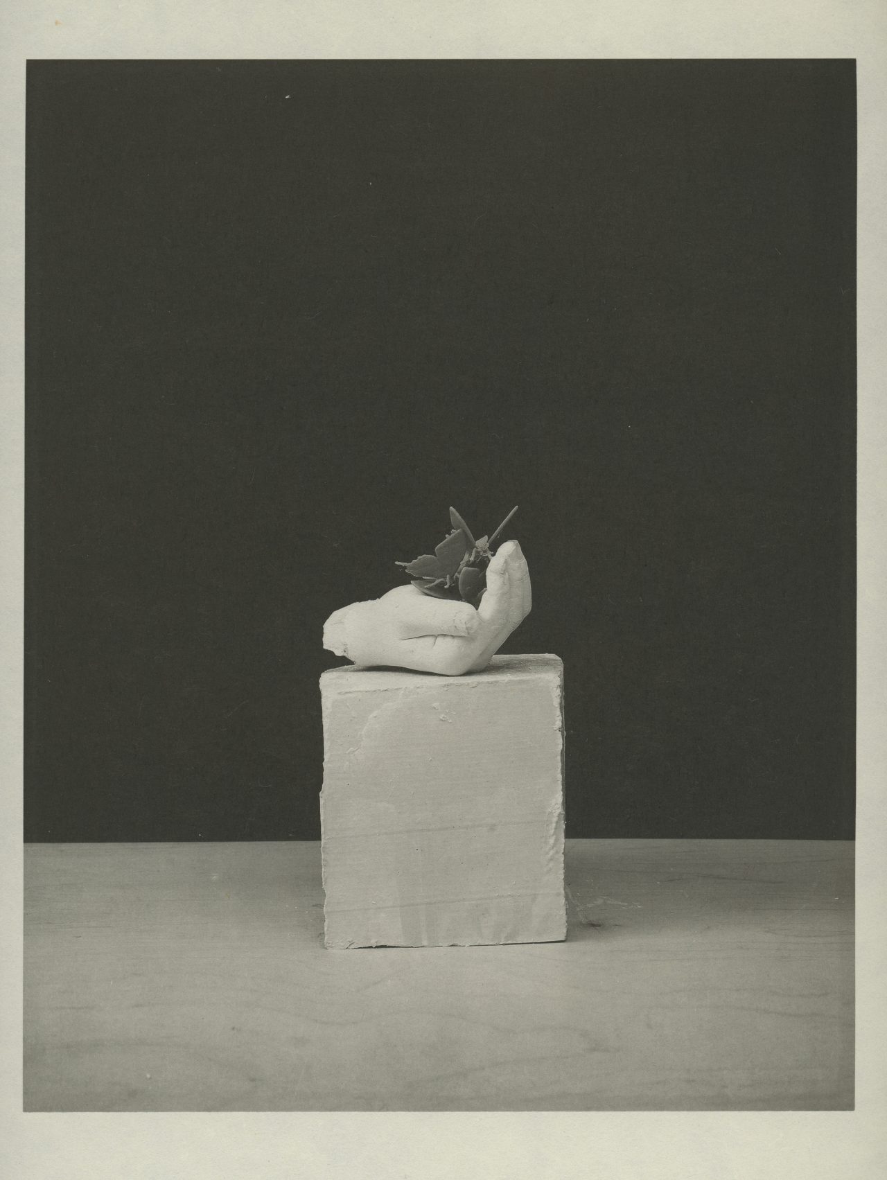 Tactile Echoes - Axel Antas