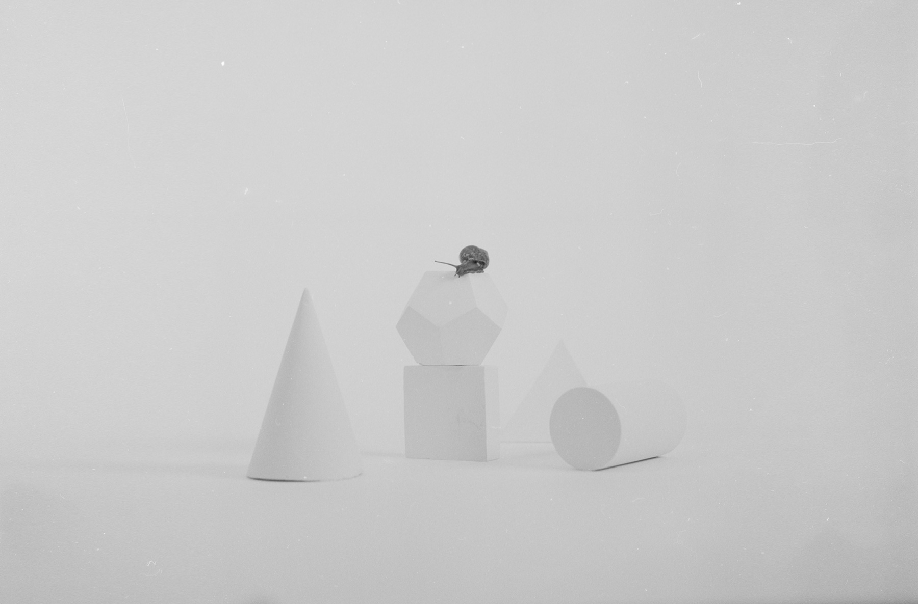 Nothing is Made, Nothing Disappears - Poikilo Museum / 24 May – 27 ...